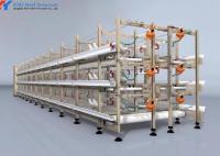 China A Type Battery Layer Cage Poultry Farming Cage System With Automatic Feeding Machine for sale
