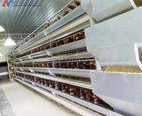 China A Type Battery Layer Cage Poultry Farming Cage System With Automatic Feeding Machine for sale