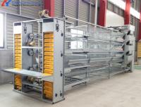 China Steel Chicken Layer Cages A Type H Type Automated Battery Cage for sale