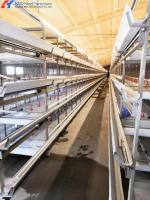 China 3 Tiers-10 Tiers Poultry Farm Cage Automatic Feeding Chicken House Cage for sale