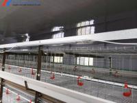 China 3 Tiers-10 Tiers Poultry Farm Cage Automatic Feeding Chicken House Cage for sale