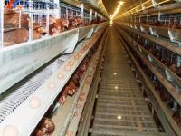 China 5 Tiers 6 Tiers Poultry Layer Cage H Type Animal Feeding Chicken Metal Cage for sale