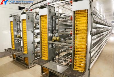 China Anti Corrosion Automatic Layer Battery Chicken Cages For Africa Agricultural Poultry Farming for sale