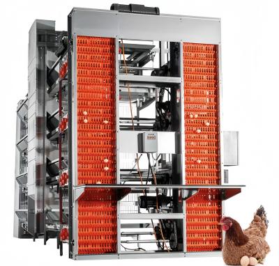 China Automatic Layer Battery Chicken Cages 4 Tiers 5 Tiers Agricultural Poultry Farming Cage for sale
