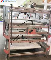 China Chicken Raising Automatic Poultry Cage , Battery Chicken Cages For Laying Eggs for sale