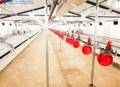 China Silo Galvanized Poultry House Equipment Automatic Broiler Chicken Poultry Farm for sale