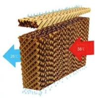 China Automatic Poultry House Equipment 3m/3pan 3m/4 Pan Chicken Coop Shed High Strength Wet Curtain for sale