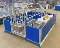 China Steel Piggery House Onsite Installation Chicken Shed Construction for sale