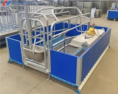 China Steel Piggery House Onsite Installation Chicken Shed Construction for sale