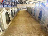 China Anti Rust Galvanized Steel Cattle Yard Panels For Farm Fencing for sale