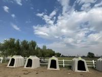 China Easy Assembly Cattle Sheds Steel Structure Cow Farming Shed Weather Resistant for sale