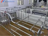 China Galvanized Pig Farrowing Crates Piggery Equipment Sow Farrowing Bed for sale
