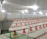 China Easy Cleaning Slatted Floor Broiler House Plastic Slate Floor For Poultry Farm for sale