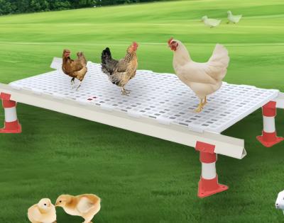 China PP Plastic Slatted Flooring for Poultry Broiler Chicken Farm for sale