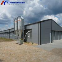 China Poultry Farm Chicken Shed Livestock Building House For 10000 Chickens Light Design With Welding Cutting & Bending Services for sale