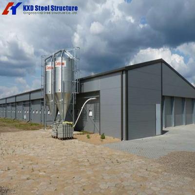 China Poultry Farm Chicken Shed Livestock Building House For 10000 Chickens Light Design With Welding Cutting & Bending Services for sale