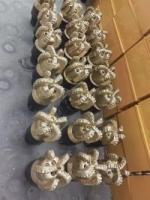 China Customized Oil Drill Bit PDC Diameter 3 3/4