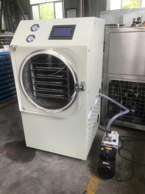 China Energy Saving Home Food Freeze Dryer Patented Products With Advanced Technology for sale