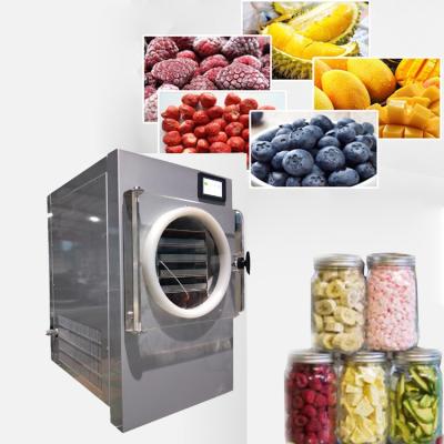 China Lyophilization Small Freeze Dryer For Food Vegetable Fruit for sale