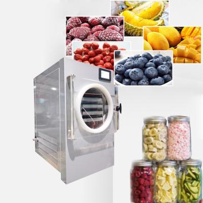 China Automatical Control small freeze dryer for home use 1.75KW 110V 240V for sale