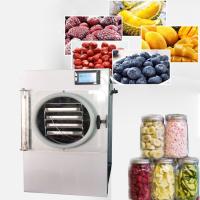 China Electric Heating Portable Freeze Dryer Low Energy Consumption 0.13Kg/h for sale