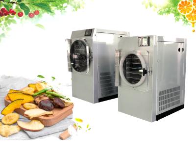 China Light Weight Mini Freeze Dryer Machine For Fruits Vegetables for sale