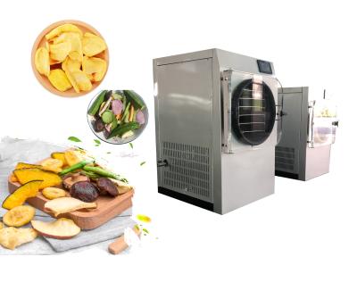 China Cold Trap Food Freeze Dryer 0.4 Square Meters 1.75Kw For Home for sale