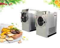 China Cold Trap Home Freeze Dryer Machine Electric Heating Fruit Freeze Drying Machine for sale