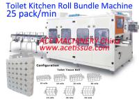 China Tissue Paper Packing Machine Fully Automatic Packing Multi Toilet Roll Kitchen Towel Into A Pre Made PE Bag for sale
