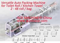 China Latest Europe Design Versatile Toilet Tissue Kitchen Towel Roll Packing Machine 2-48 Roll Per Bag for sale