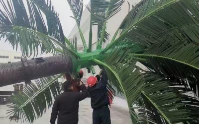 China Camouflaged Artificial Palm Tree Monopole Telecom Tower 290km/hr Wind Speed for sale