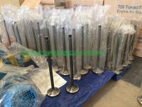 China L27/38 INLET VALVE / EXHAUST VALVE for sale