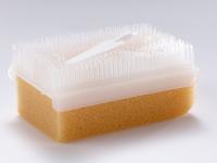 China Medical Disposable Sterile Soft Sponge Hand Surgical Scrub Brush With Nail Cleaner for sale