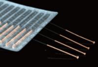 China 100pcs Medical Acupuncture Needles Single Use Sterile Wholesale for sale