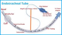 China Standard Endotracheal Tube Cuffed High Volume Available With Magil Type DEHP-FREE Material for sale