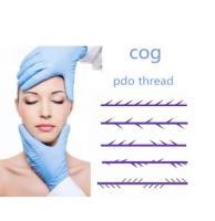 China Pdo barbed knotless barbed surgical suture Bi/Uni-directonal absorbable knotless barbed PDO suture for sale