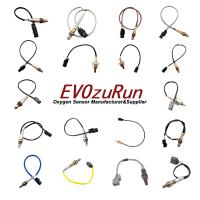 China Zirconia Oxygen Sensor O2S-FR-T2-18BM-C for Combustion Control System for sale
