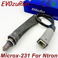 China Oxygen Analyser Ntron Microx-231 Gas Analysis Lambda-Probe for Industrial Process Boiler Heat Treatment Unit Environmental Engineering for sale