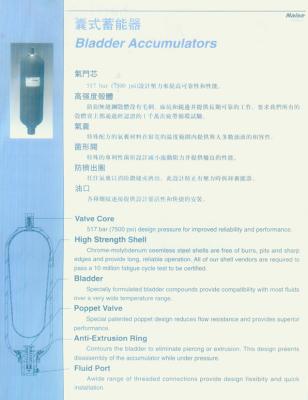 China US Accumulator Hydraulic Bladder Tank 10L 350 Bar High Pressure for sale