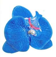 China RICHSTAR Flower Hair Clip Durable Various Colors Sizes for Women All Seasons for sale