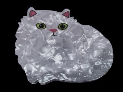China RICHSTAR Acrylic Hair Claw Clips Unisex Hair Accessories 45 Days Delivery Custom Sizes for sale