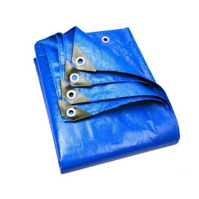 China Light Blue/White Waterproof PE Tarpaulin 4x5M in African Market from China factory for sale