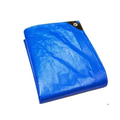 China 120gsm Light Blue/White Waterproof PE Tarpaulin 4x5M in African Market from China factory for sale