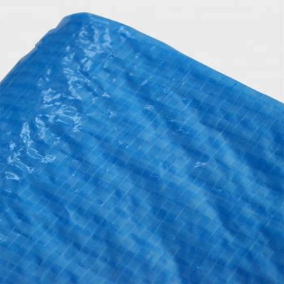 China Blue White PE Tarpaulin Sheet HDPE Plastic Tarpaulins Coated Tarps Tarpaulin Vietnam Roofing Cover Tarpaulin for sale