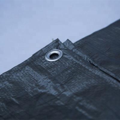 China Blue tarpaulin sheet poly plastic fabric chinese supplier waterproof Insulated PE tarpaulin sheet for cargo protection for sale