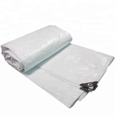China 50GSM-280GSM white HDPE Polyethylene Duty Plastic Sheet Lonas Cover PE Tarpaulin sheet for sale