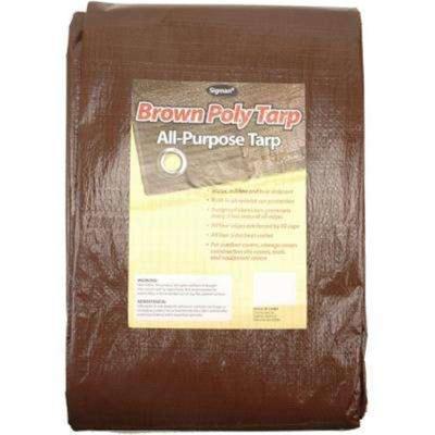 China Best selling good quality brown blue waterproof polyethylene fabrics pe tarpaulin with eyelets from china factory for sale