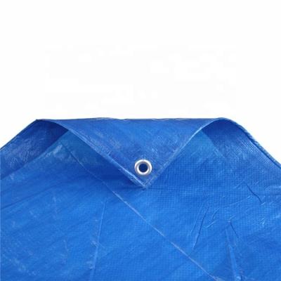 China Shandong factory manufacture pe tarpaulin sheet blue white polyethylene laminate sheet  tarpaulin rolls or truck cover for sale