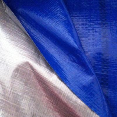 China 4x5M 6x8M Waterproof Blue Silver PE Tarpaulin With Various Sizes For Cover for sale