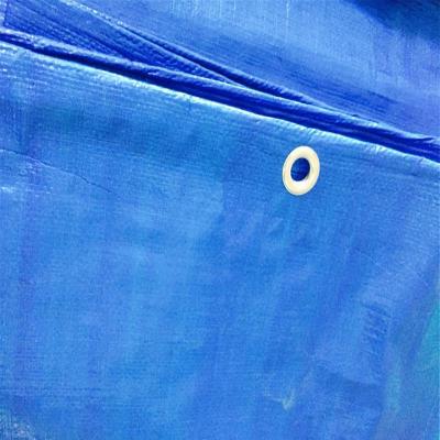 China Blue white poly plastic fabric Chinese supplier waterproof Insulated PE tarpaulin sheet for cargo protection for sale